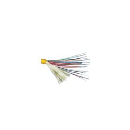 Superior Essex 24CT fiber 1A024RD01 Quantum Source